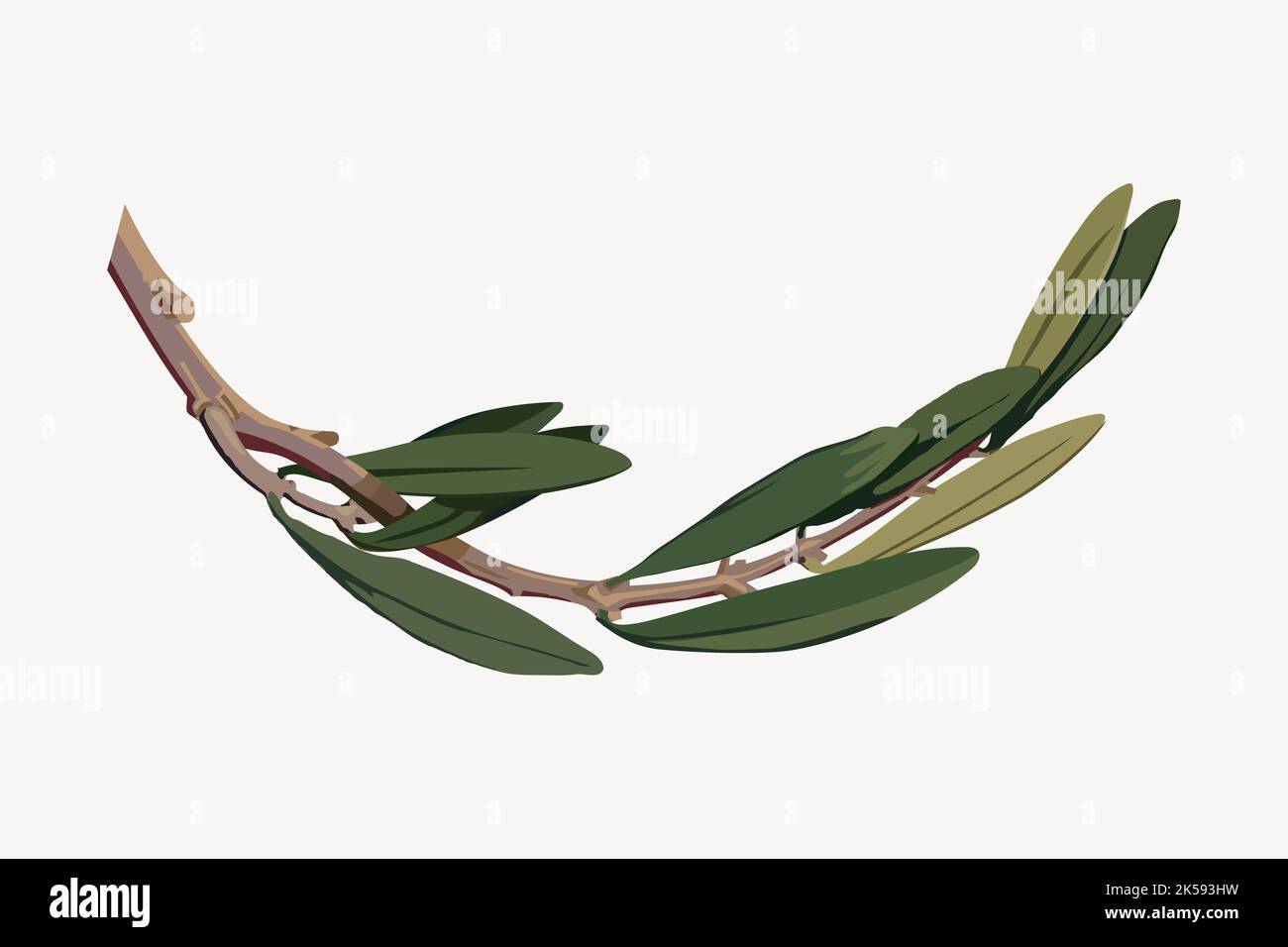 Olive branch sticker hi-res stock photography and images - Alamy