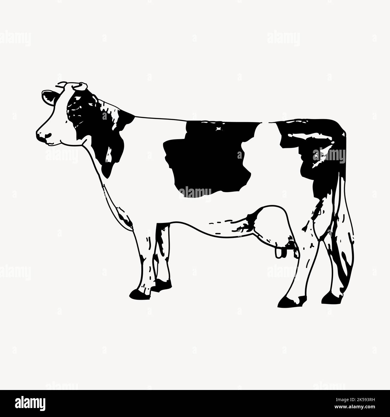 Cow, bull clipart, farm animal vintage illustration vector Stock Vector ...