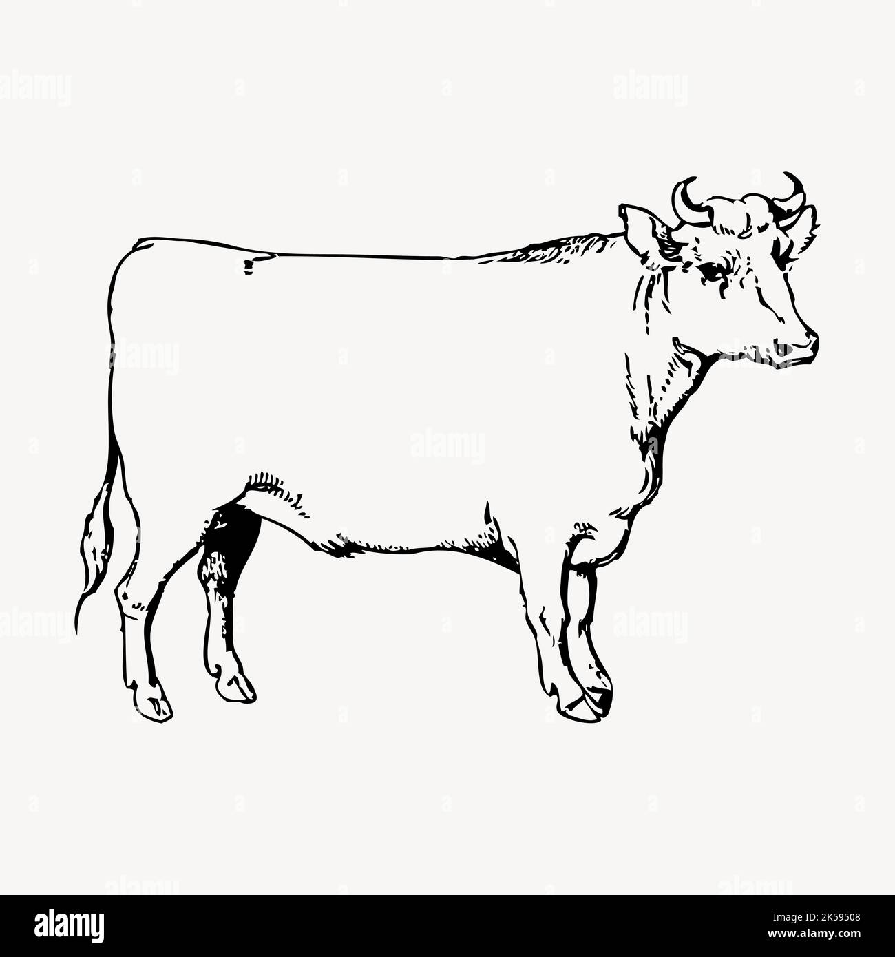 Cow, bull clipart, farm animal vintage illustration vector Stock Vector ...