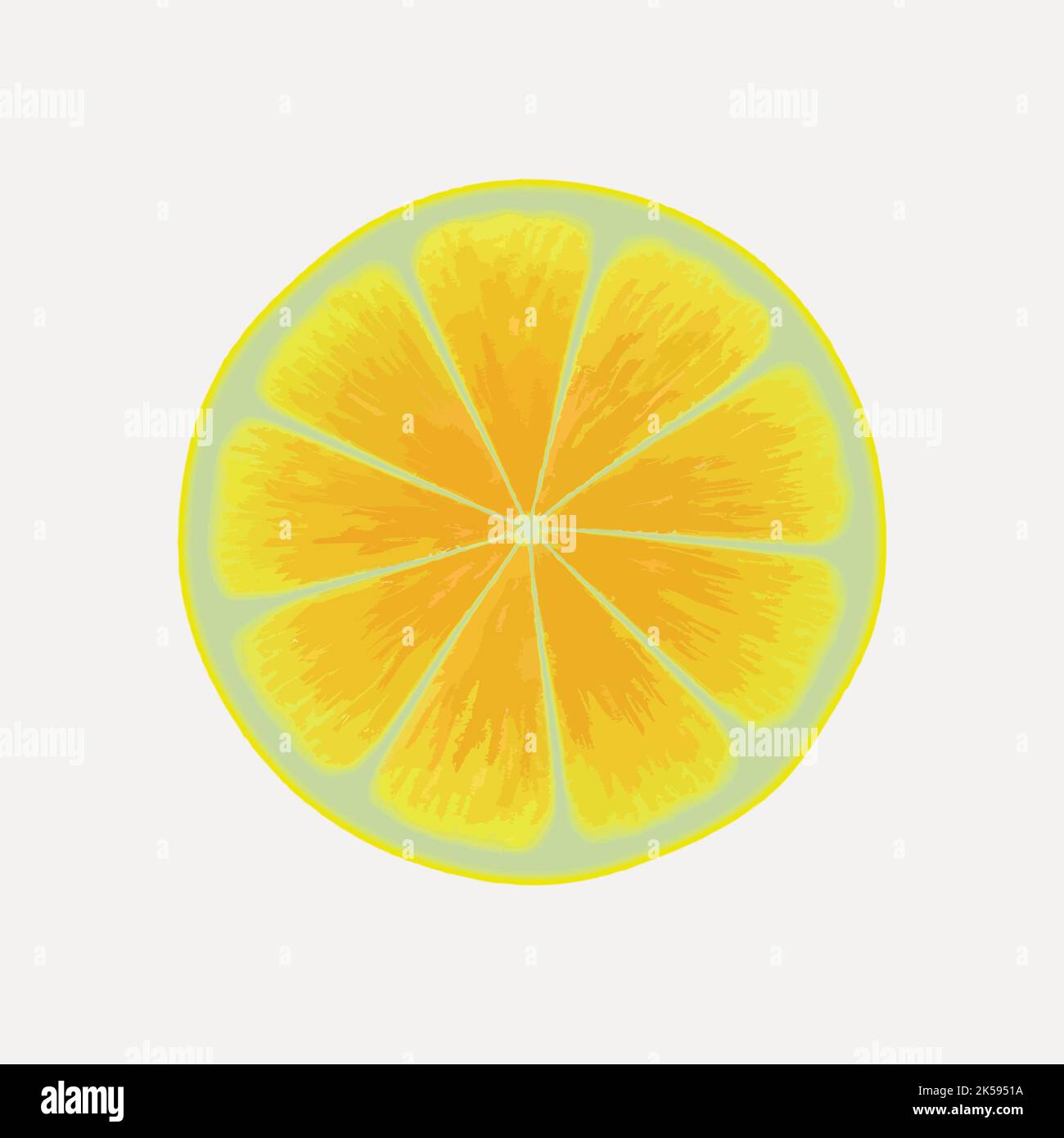 Lemon slice clipart, fruit illustration vector Stock Vector Image & Art ...
