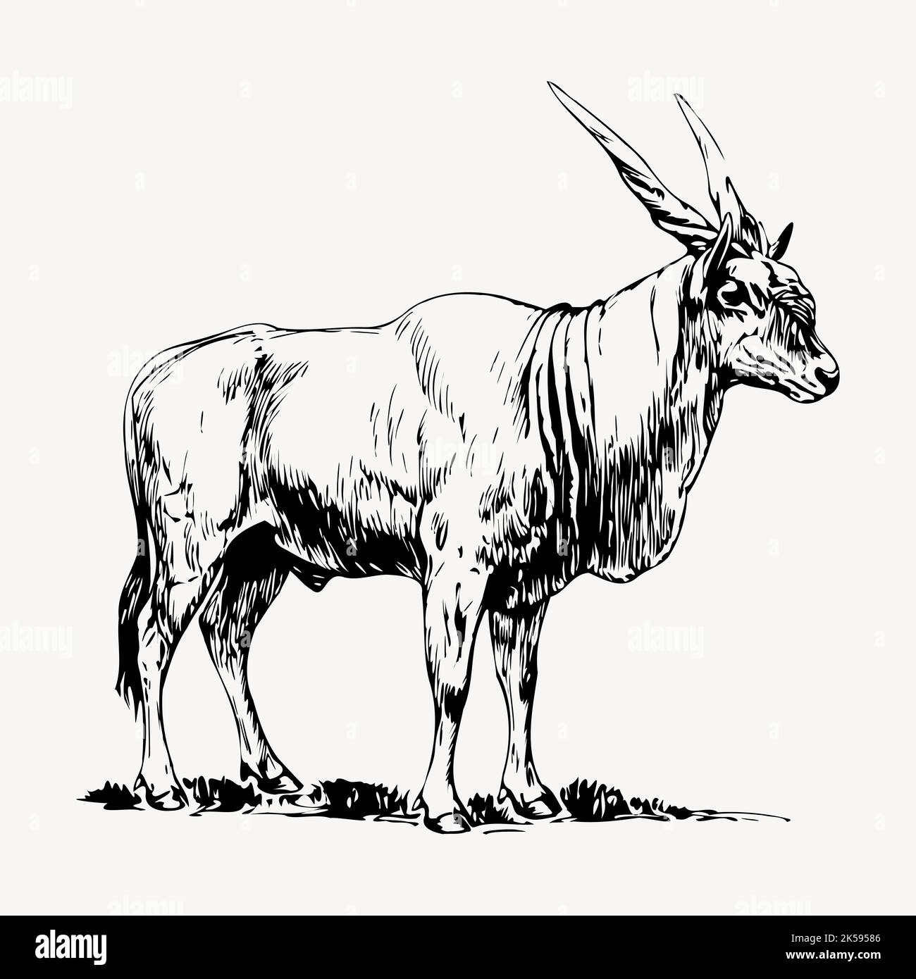 Eland Vector Kunst