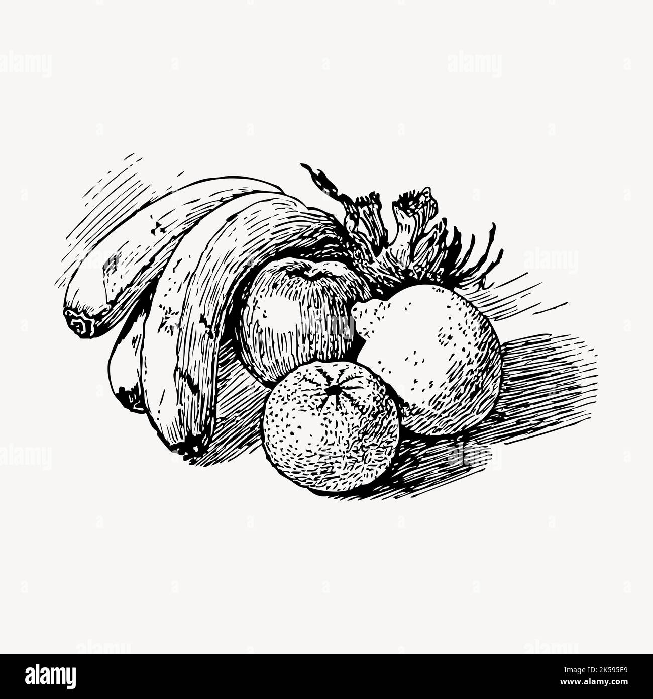 Fruits clipart, still life vintage illustration vector Stock Vector ...