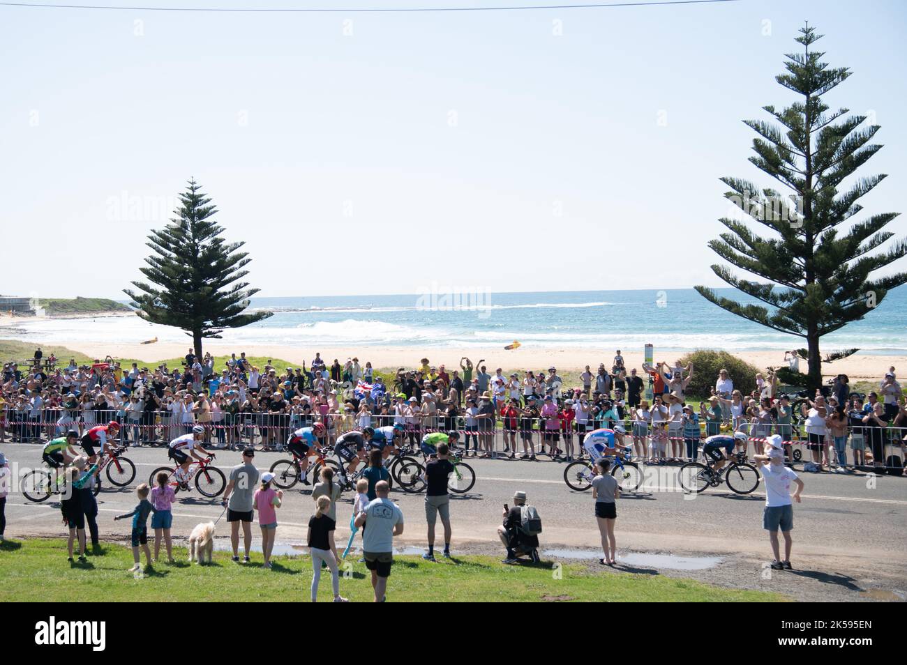 Fans line Bulli Beach to cheer on the men's peloton during the Elite ...