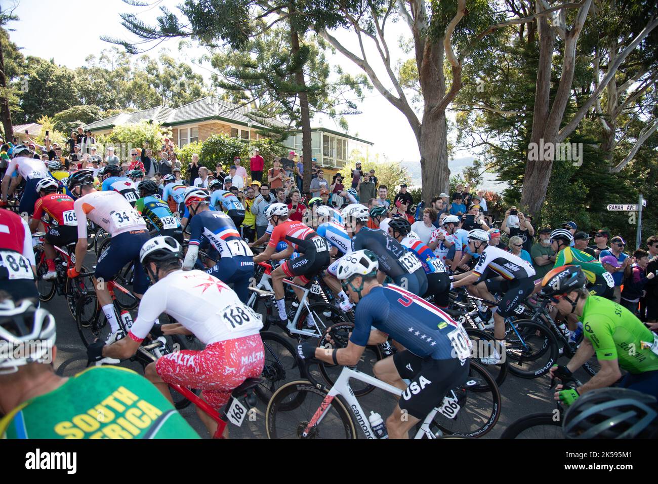 Men's peloton climbs in close quarters during the Elite Men's road race ...