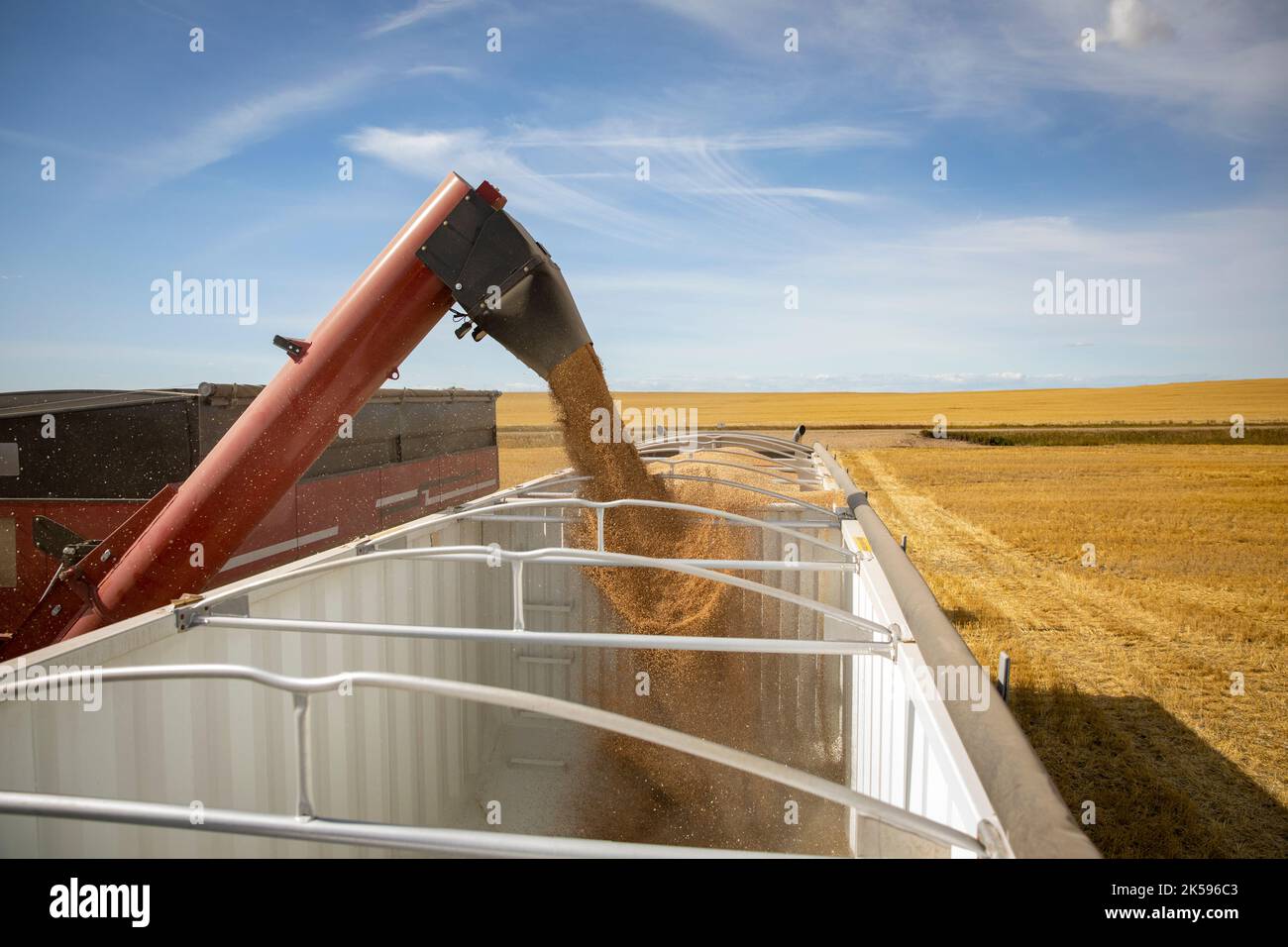 Auger grain hi-res stock photography and images - Alamy