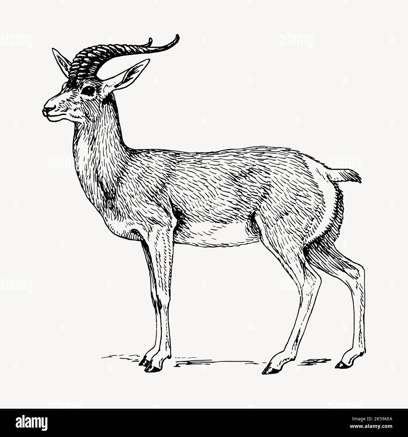 Victorian house clipart hi-res stock photography and images - Alamy