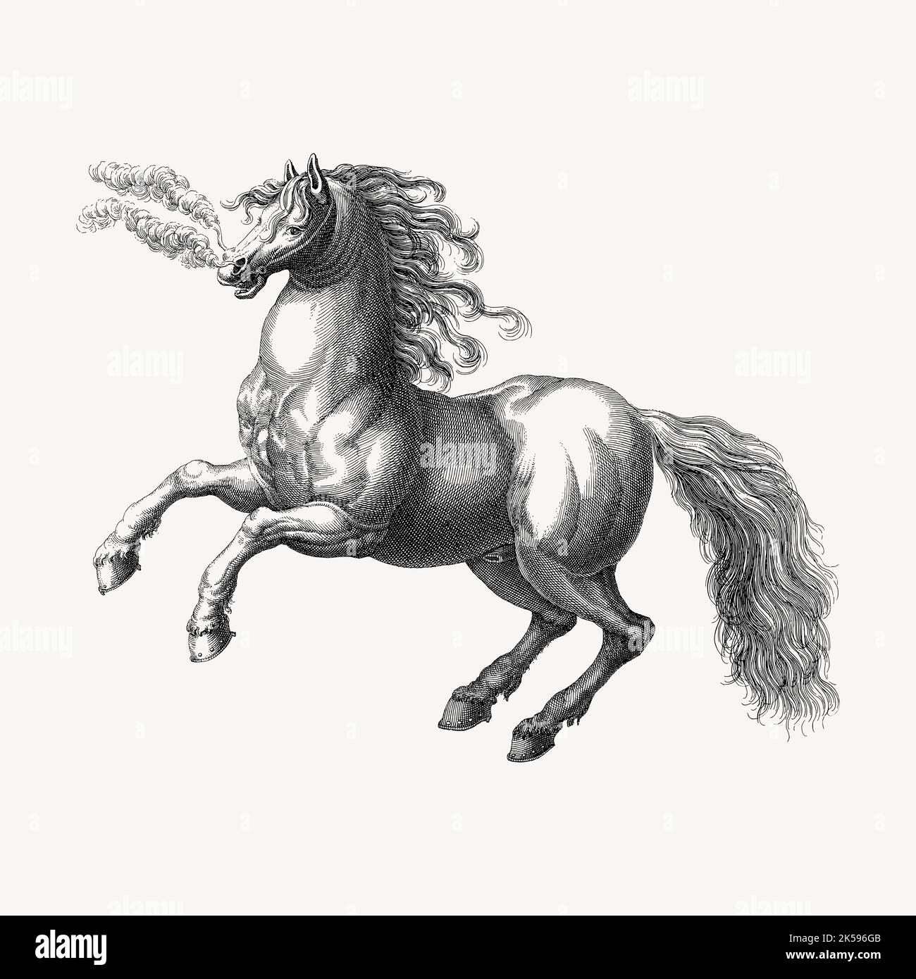 Rearing horse clipart, animal vintage illustration vector Stock Vector ...