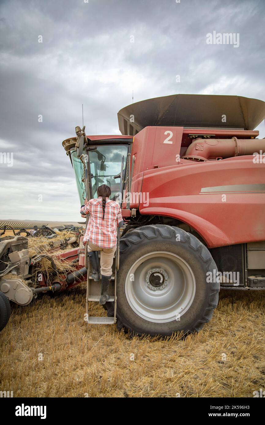 Female harvester hi-res stock photography and images - Alamy