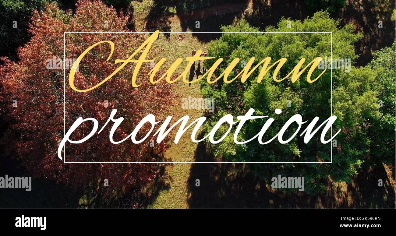 Composite of autumn promotion text in rectangle over high angle view of ...