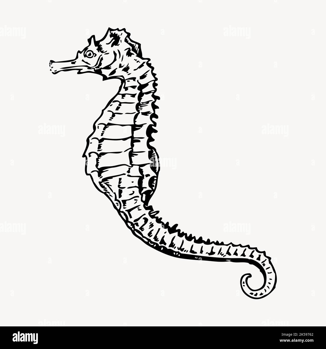 Vintage Seahorse Illustration 9 Seahorse Clipart Images! The