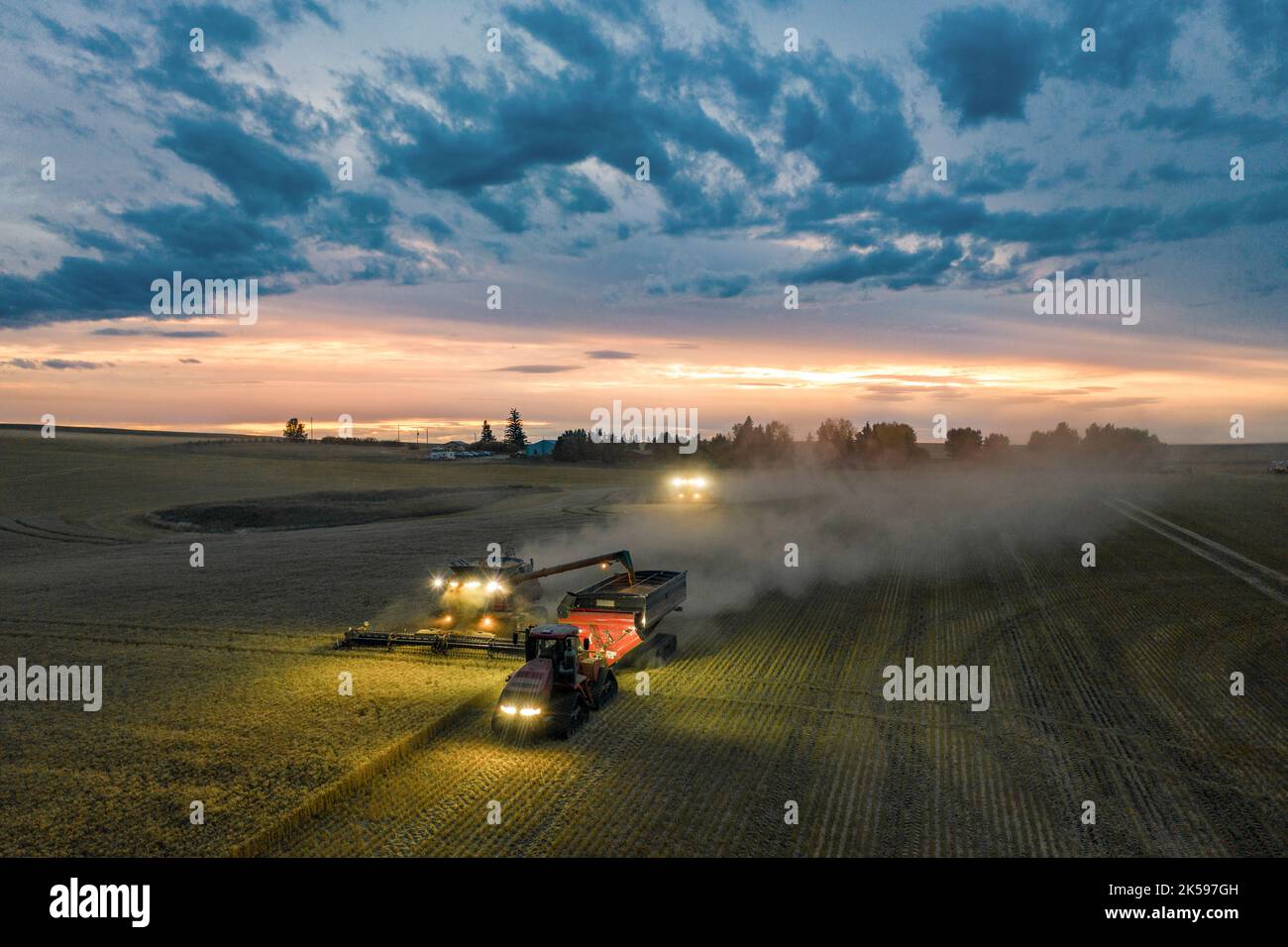Combine harvester trailer in rural field at dusk hi-res stock ...
