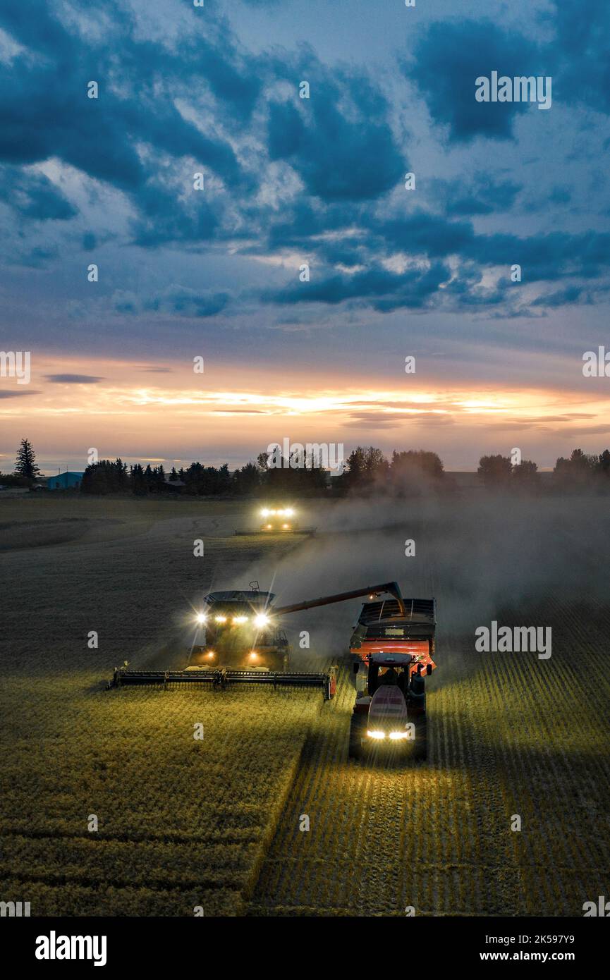 Combine harvester trailer in rural field at dusk hi-res stock ...