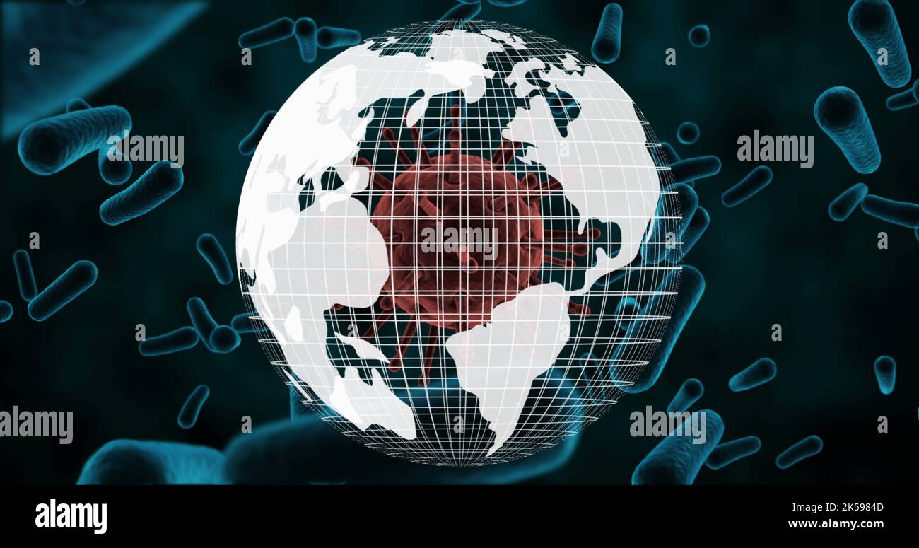 Animation of red blood cell in globe and microscopic bacteria against ...