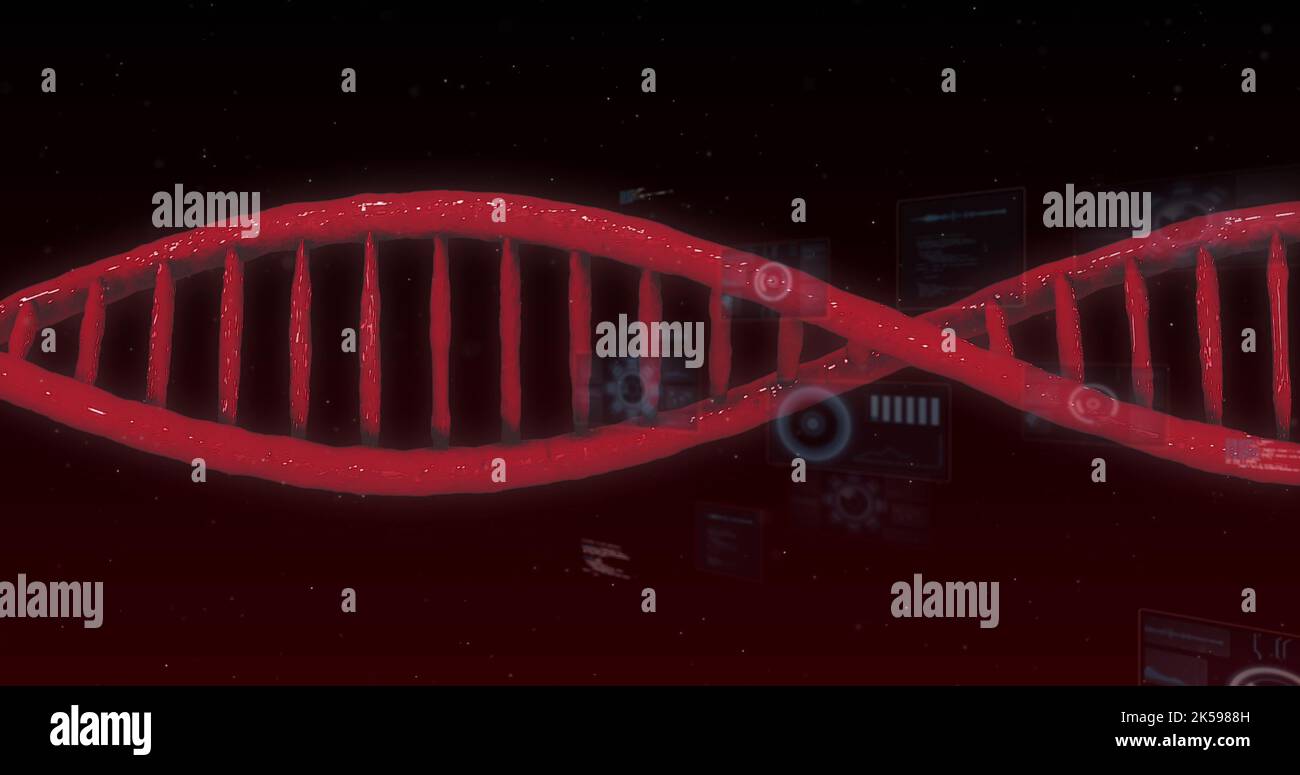 Illustration of infographic interface screens with red dna helix ...