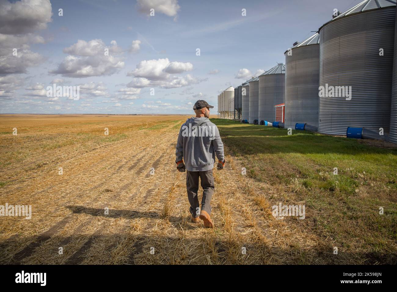 Farmer looking over a field hi-res stock photography and images - Alamy