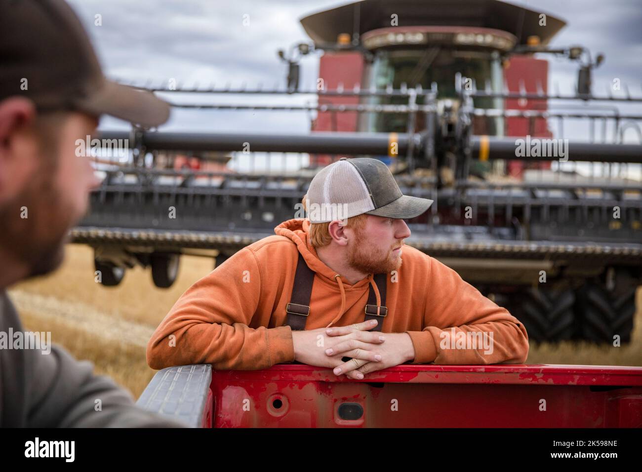 Farmers watching combine harvester in hi-res stock photography and ...