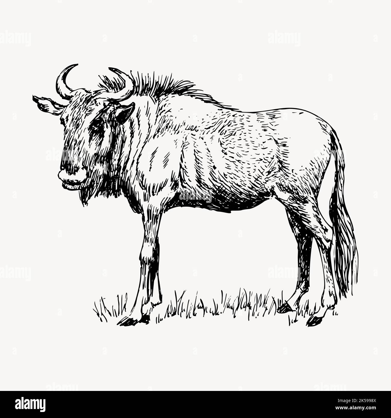 Gnu drawing hi-res stock photography and images - Alamy