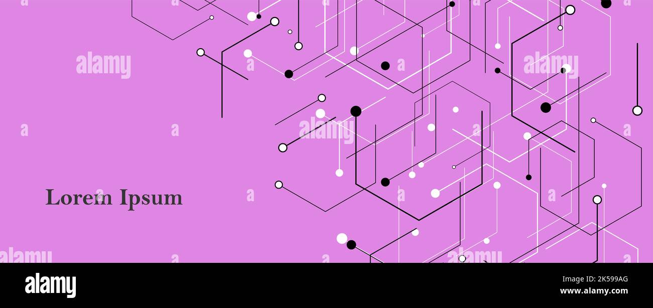 Abstract Black White Hexagon Network Image Geometric Purple Texture Background Scientific