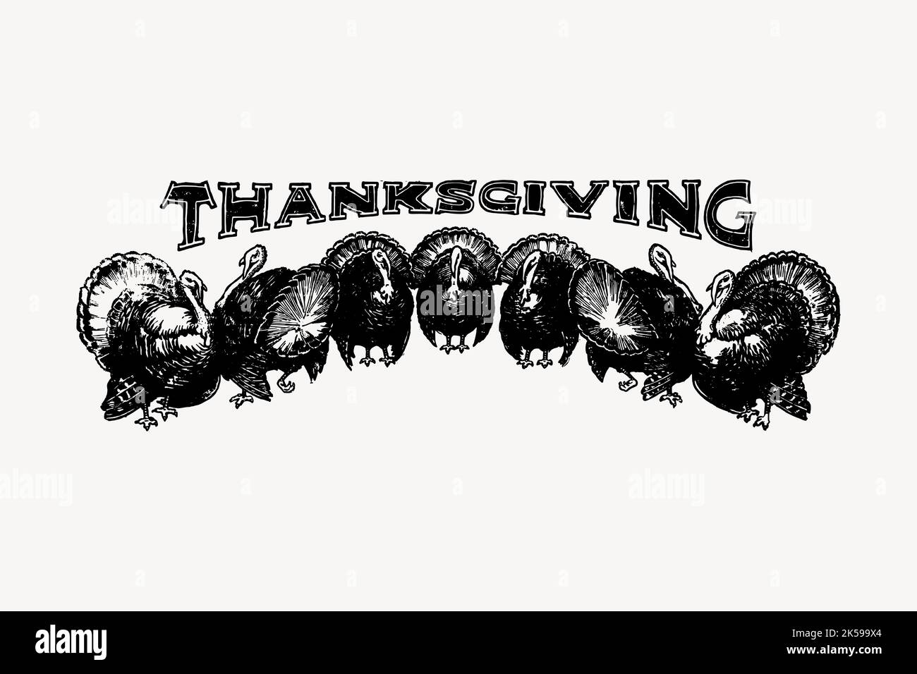 Thanksgiving turkeys typography clipart hi-res stock photography and ...