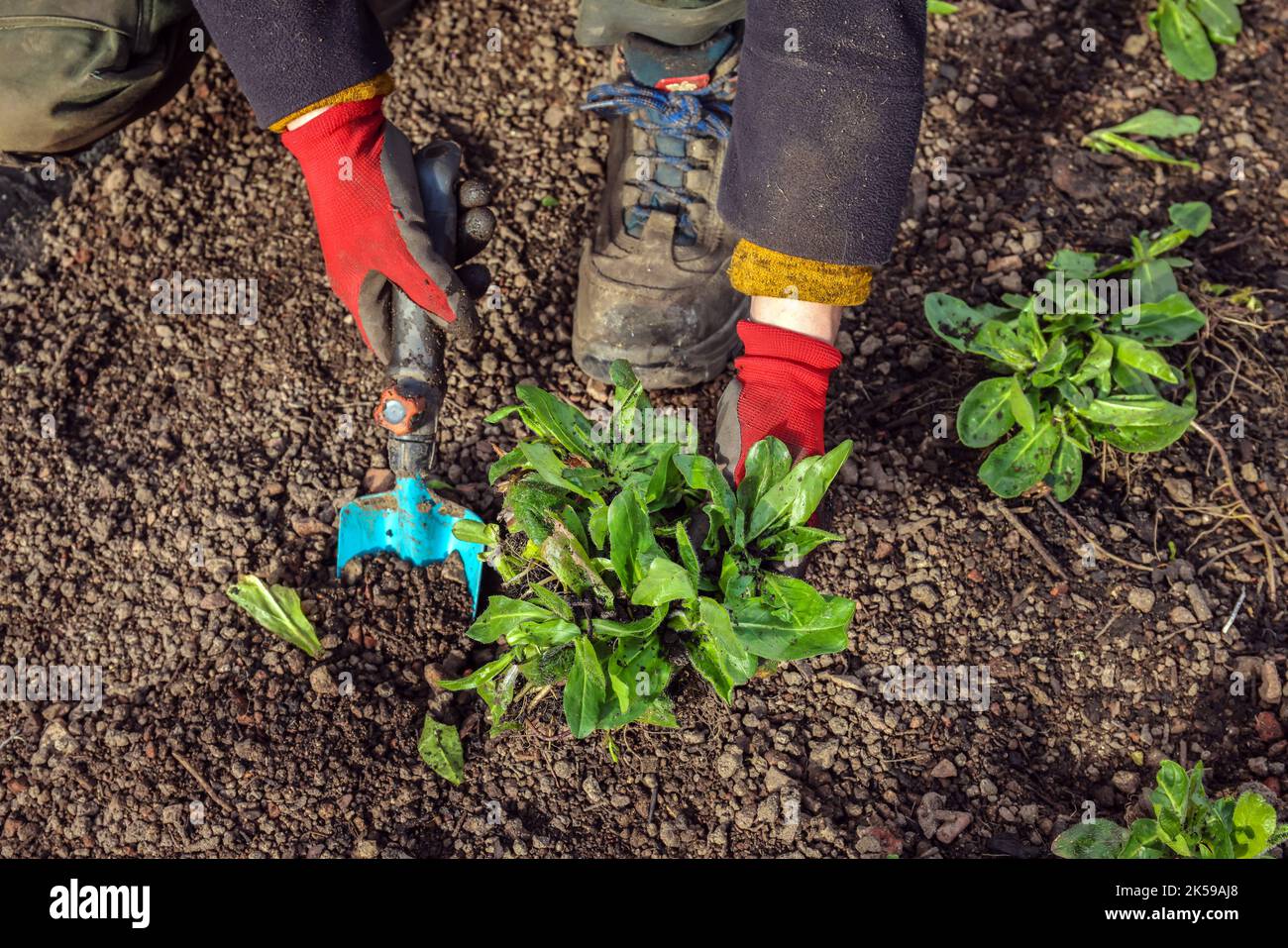 09.04.2022, Germany, North Rhine-Westphalia, Mülheim an der Ruhr - Flat ...