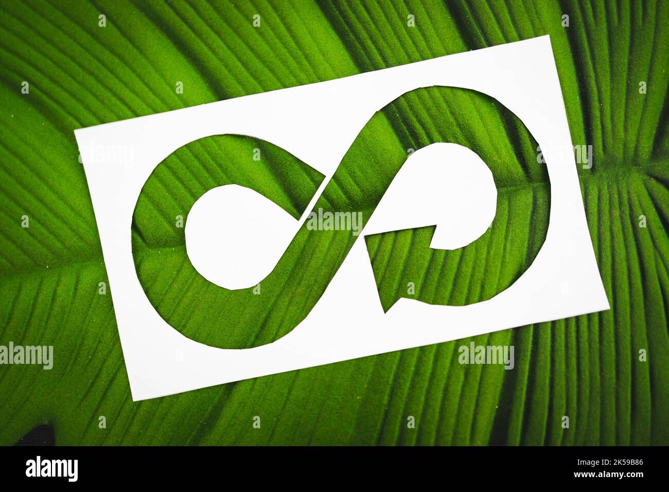 circular economy symbol on paper cutout with tropical leaf underneath ...