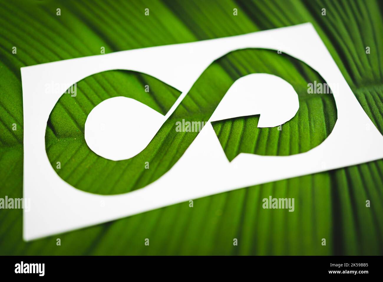 circular economy symbol on paper cutout with tropical leaf underneath ...