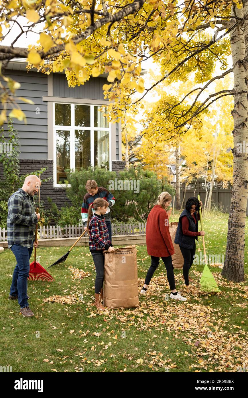 Clearing fall leaves hi-res stock photography and images - Alamy