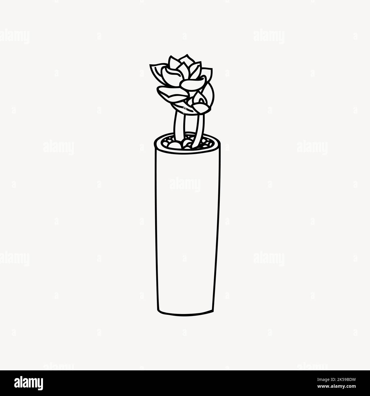 Potted succulent drawing, house plant illustration vector Stock Vector ...