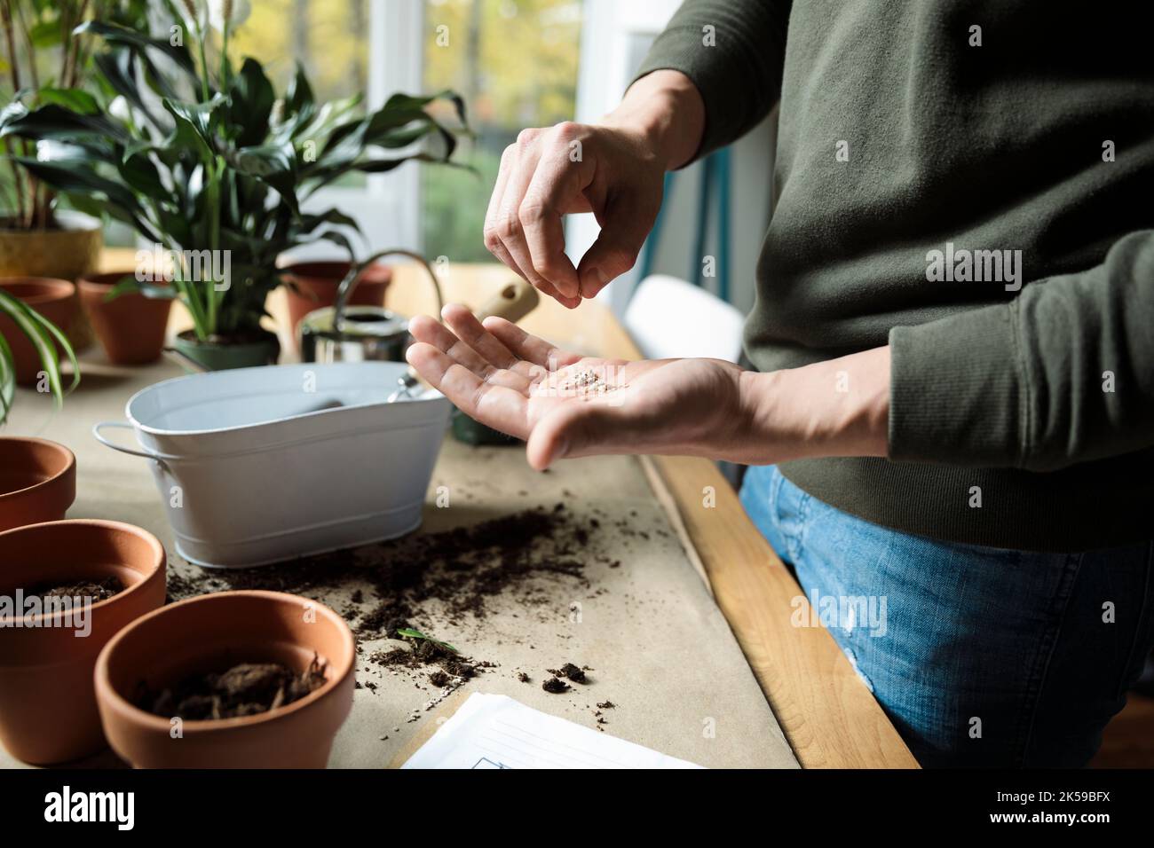 Man plants potting hi-res stock photography and images - Alamy