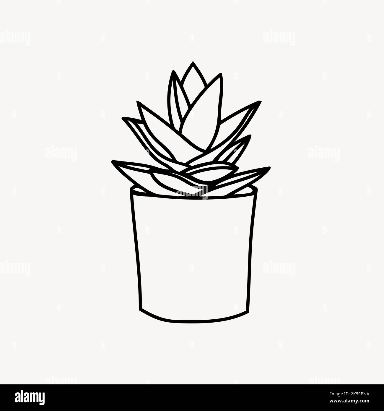 Potted succulent drawing, house plant illustration vector Stock Vector ...
