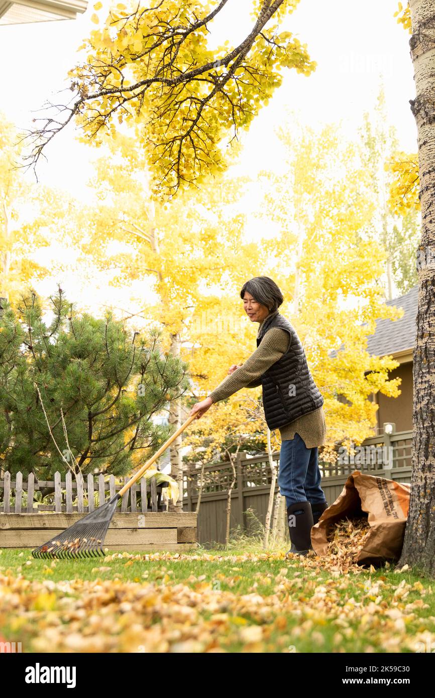 Sweeping autumn leaves hi-res stock photography and images - Alamy