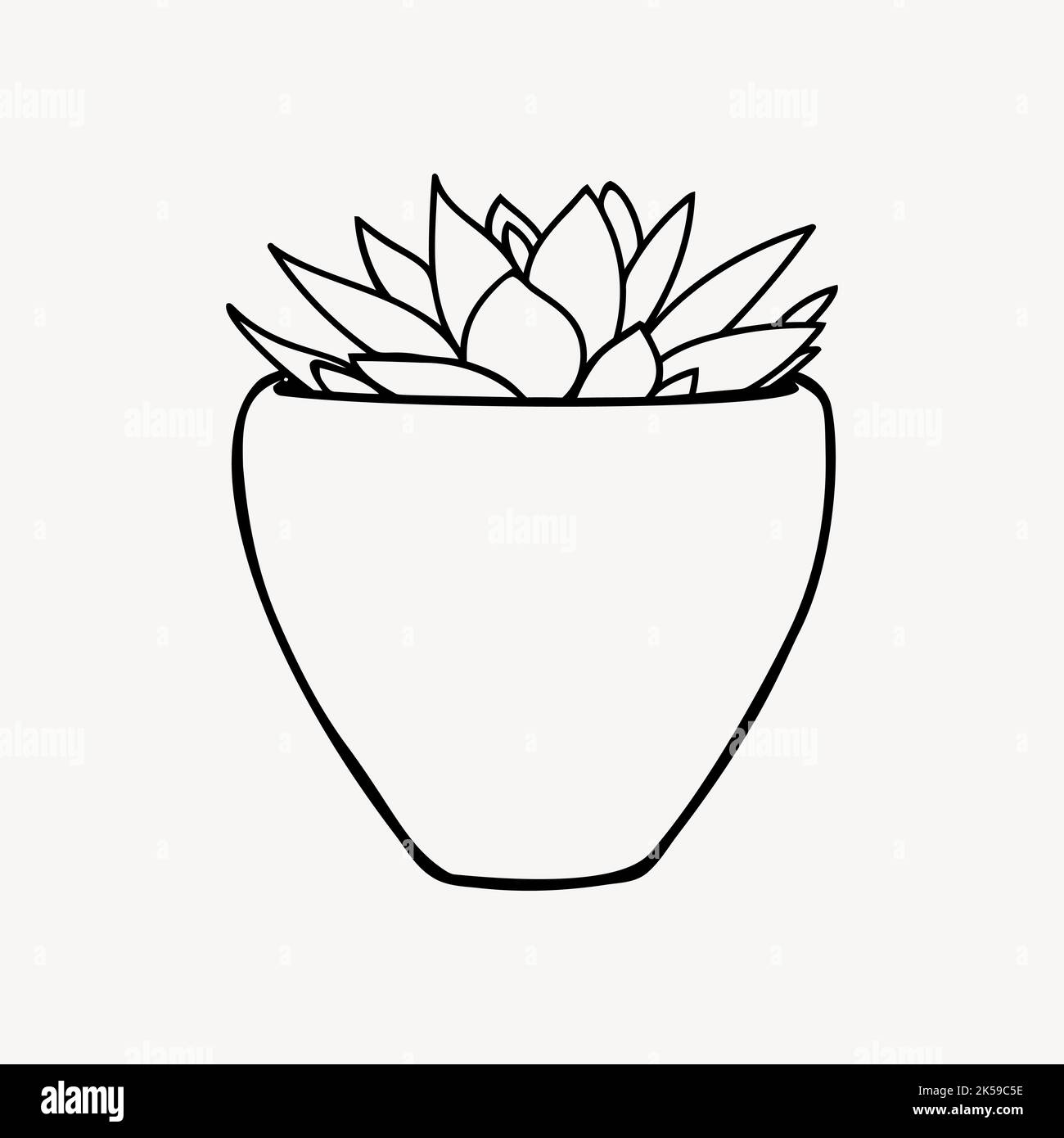 Potted succulent drawing, house plant illustration vector Stock Vector ...