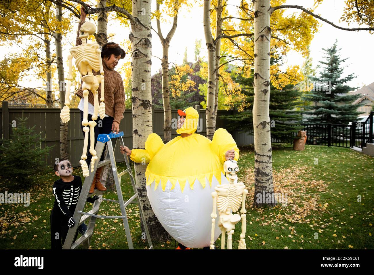 Yard skeleton hi-res stock photography and images - Alamy