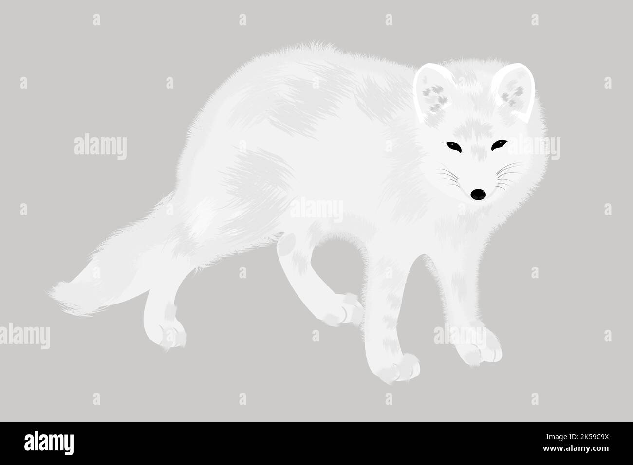 Arctic fox sticker, animal illustration vector Stock Vector Image & Art ...