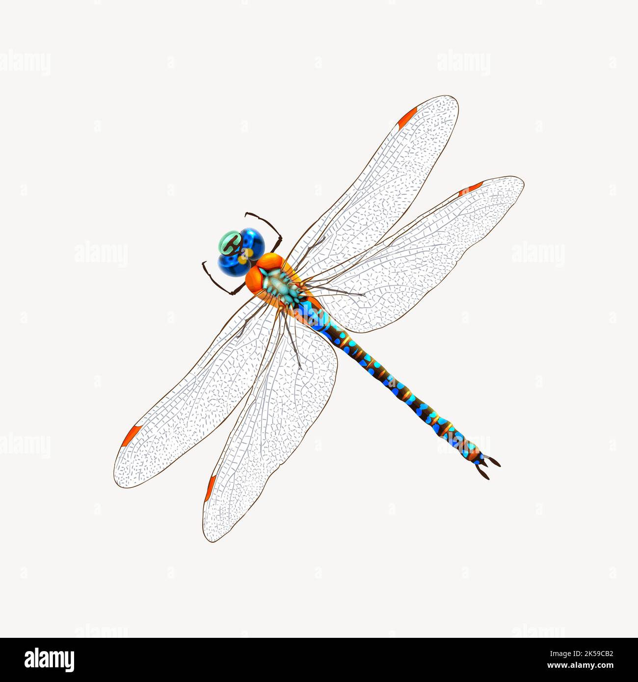 Dragonfly sticker, insect illustration vector Stock Vector Image & Art ...