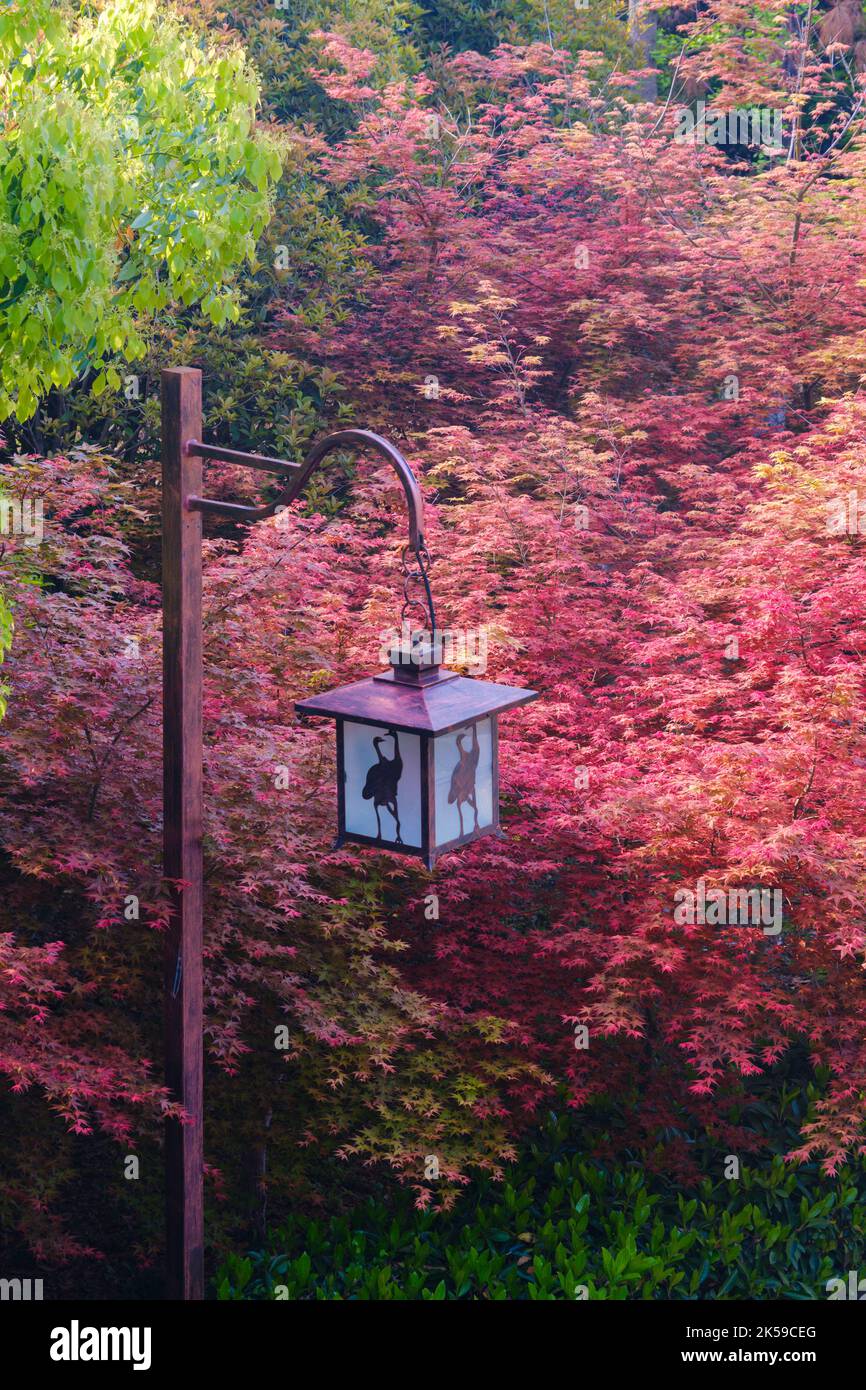 Spring scenery of Yellow Crane Tower Park in Wuhan, Hubei Stock Photo ...