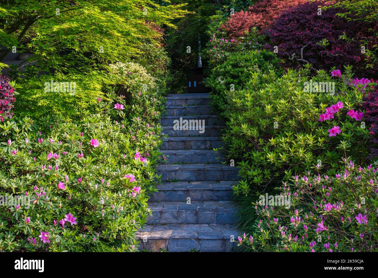 Spring scenery of Yellow Crane Tower Park in Wuhan, Hubei Stock Photo ...
