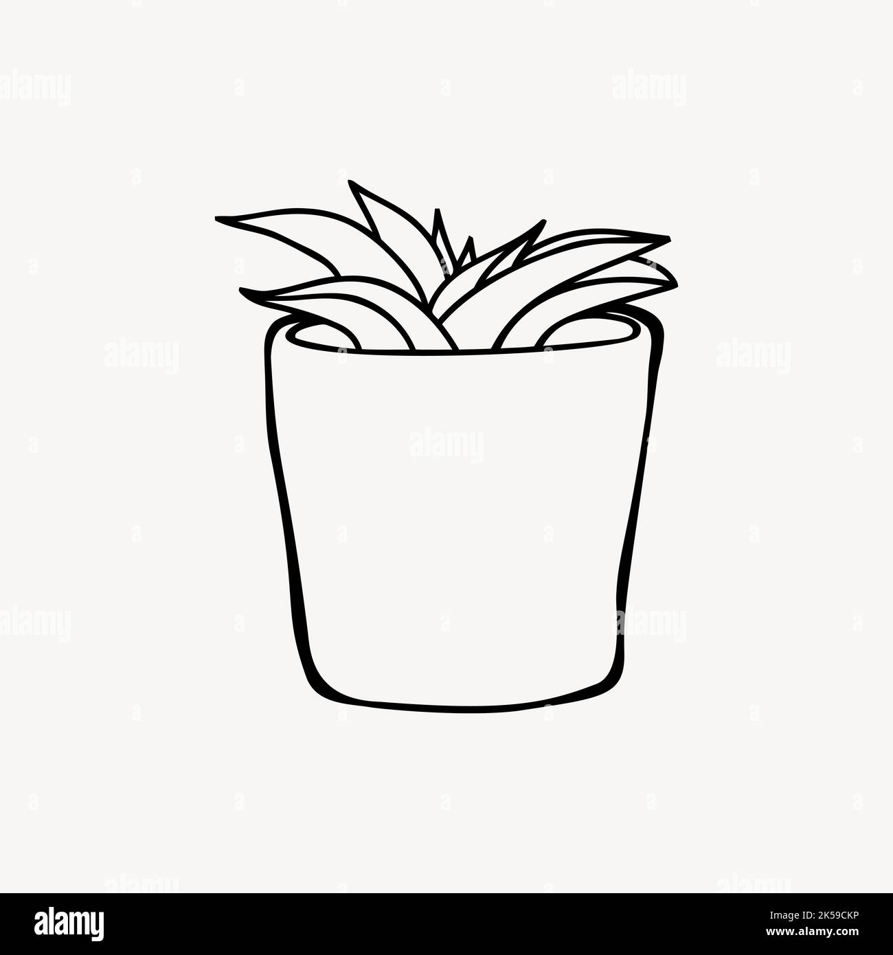 Potted succulent drawing, house plant illustration vector Stock Vector ...