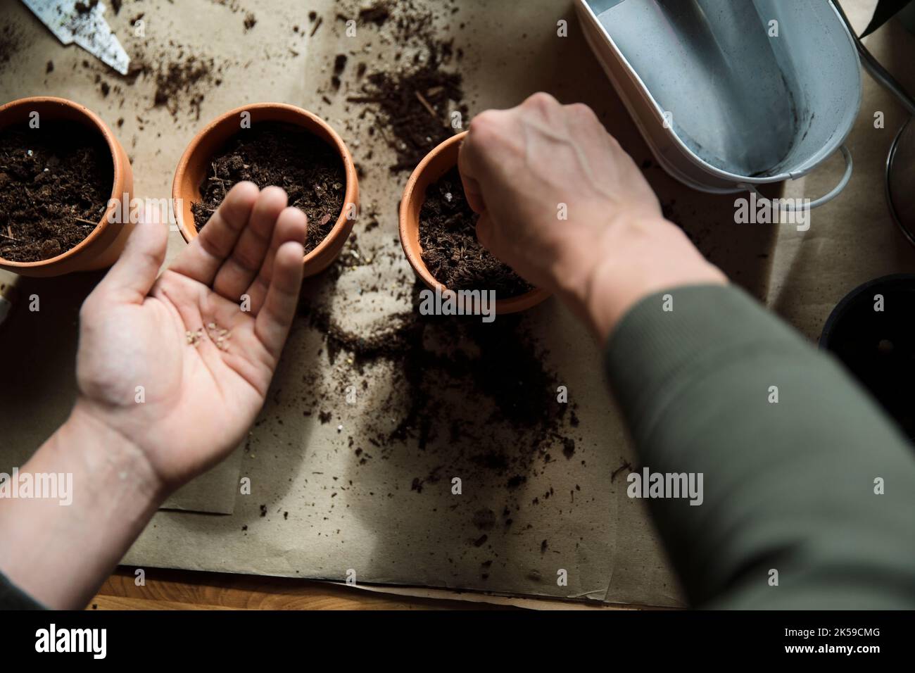 Man plants potting hi-res stock photography and images - Alamy