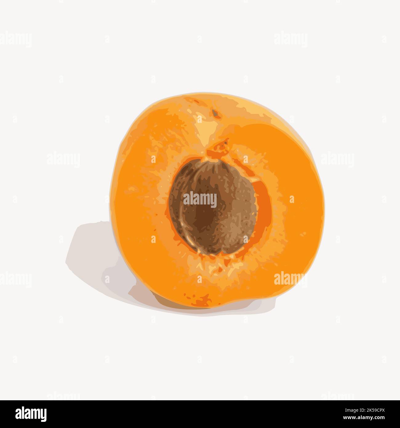 Apricot sticker, fruit illustration vector Stock Vector Image & Art - Alamy