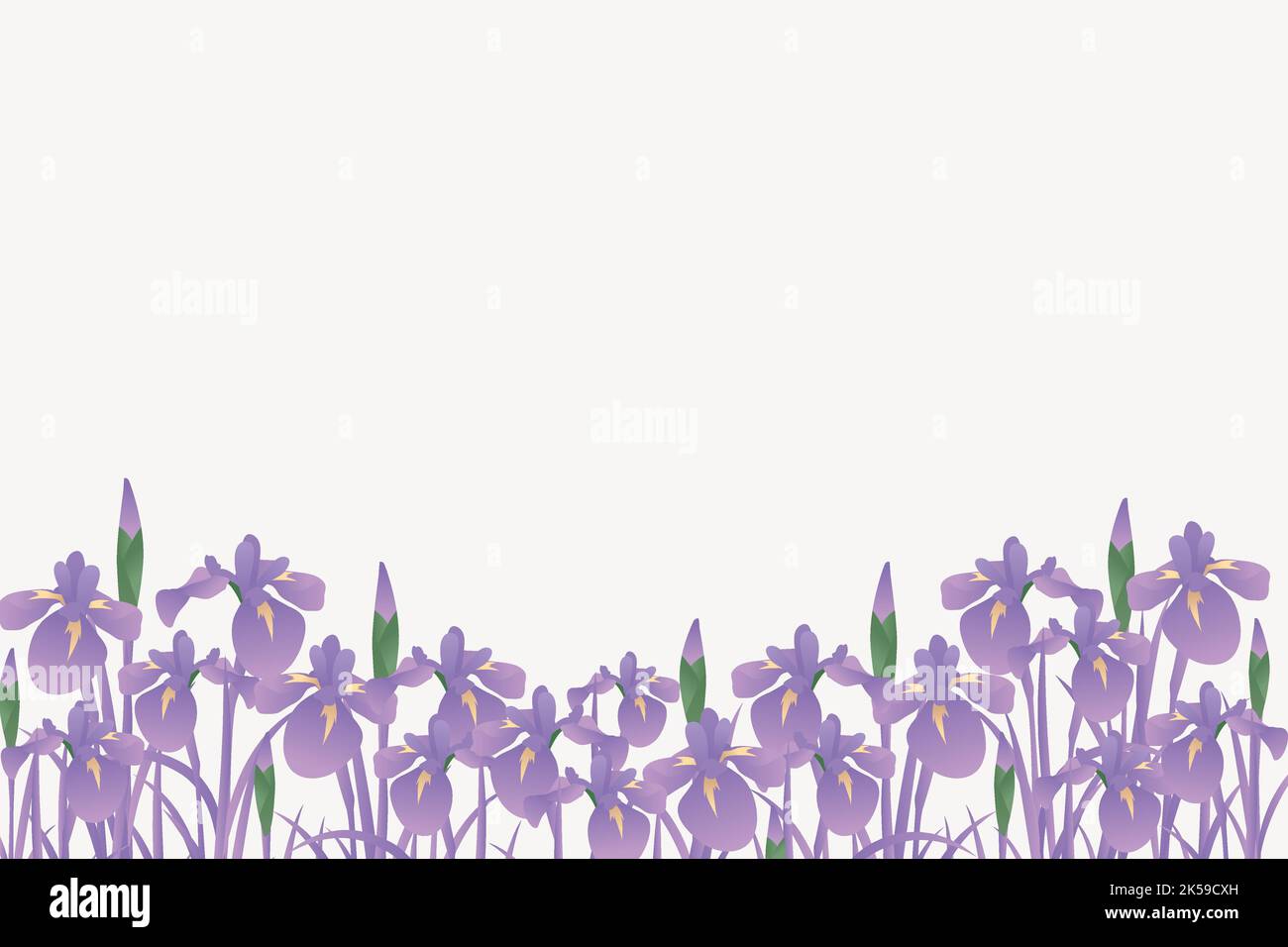 Purple flower border background, Spring illustration vector Stock ...