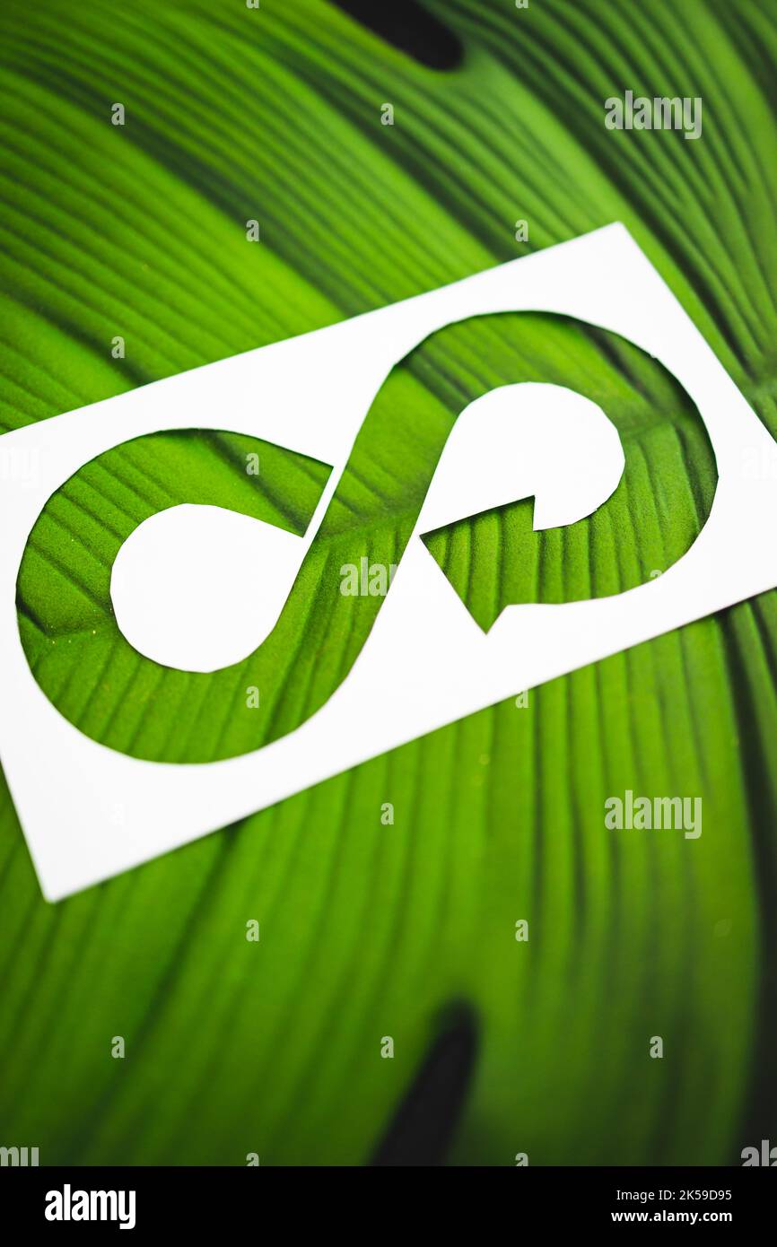 circular economy symbol on paper cutout with tropical leaf underneath ...