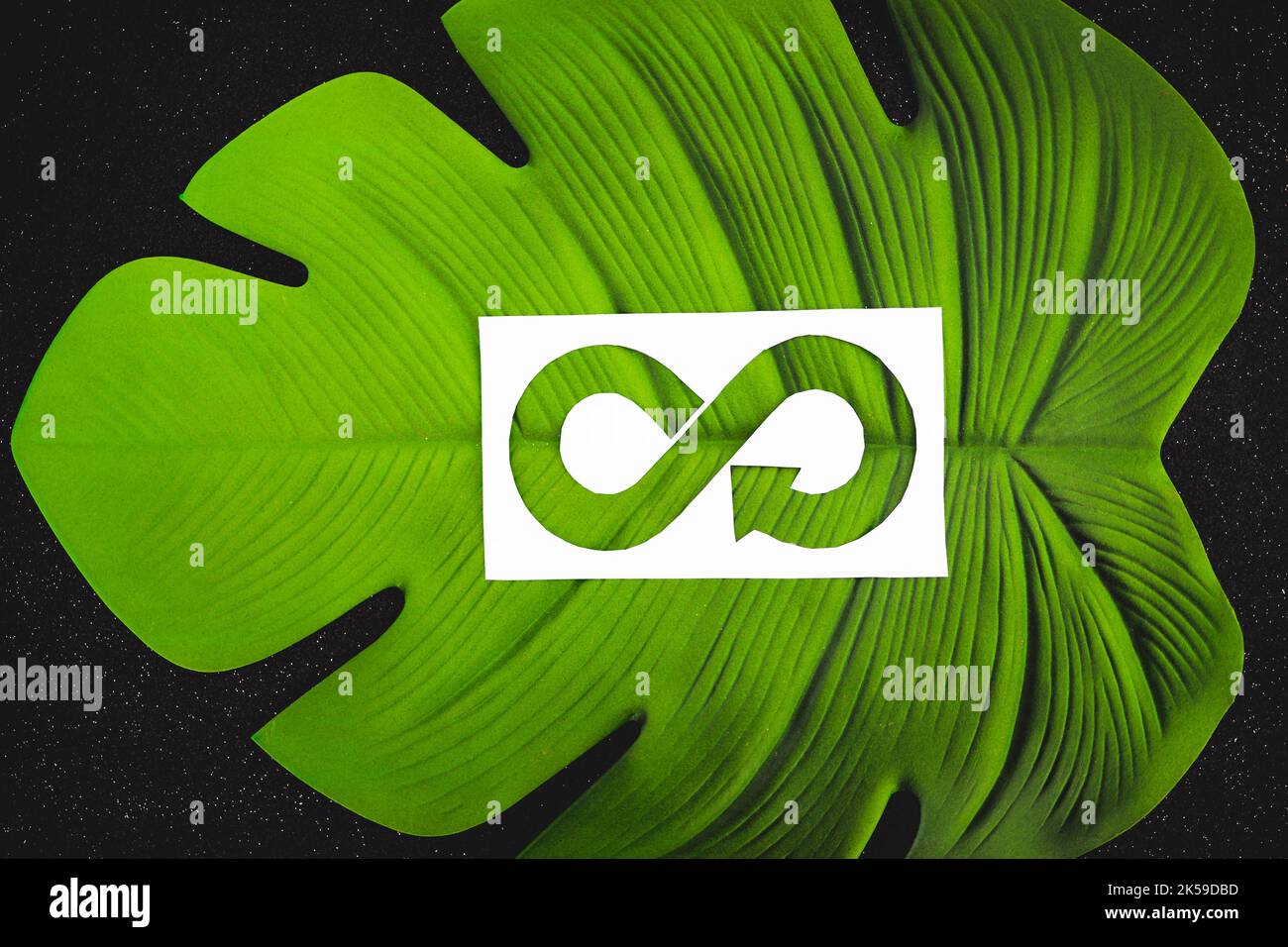 circular economy symbol on paper cutout with tropical leaf underneath ...