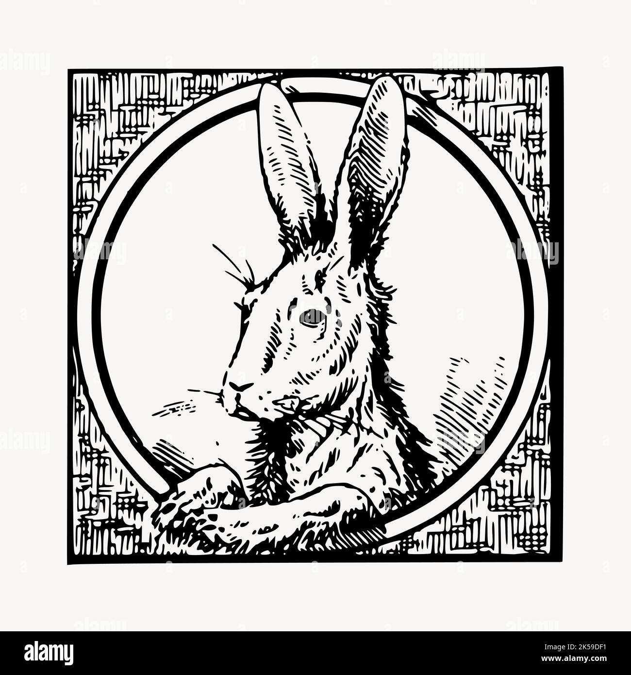 Rabbit clipart, vintage animal illustration vector Stock Vector Image ...