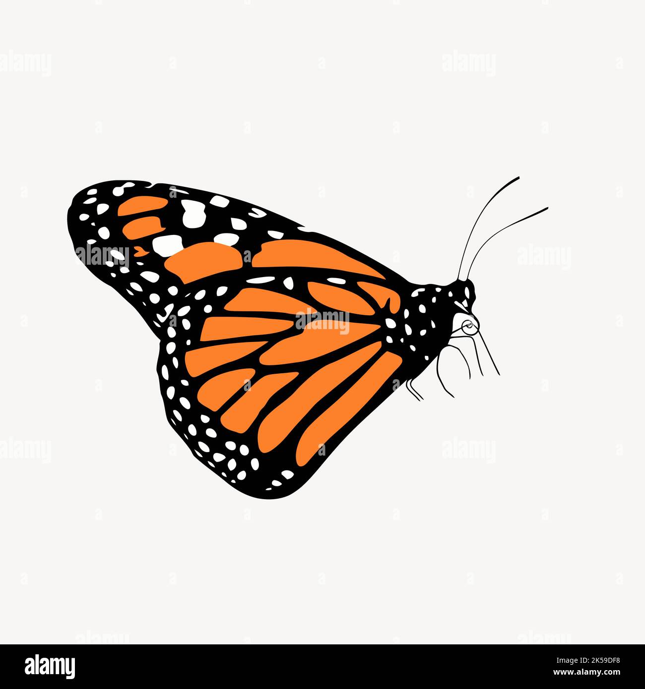 Monarch butterfly sticker, insect illustration vector Stock Vector ...