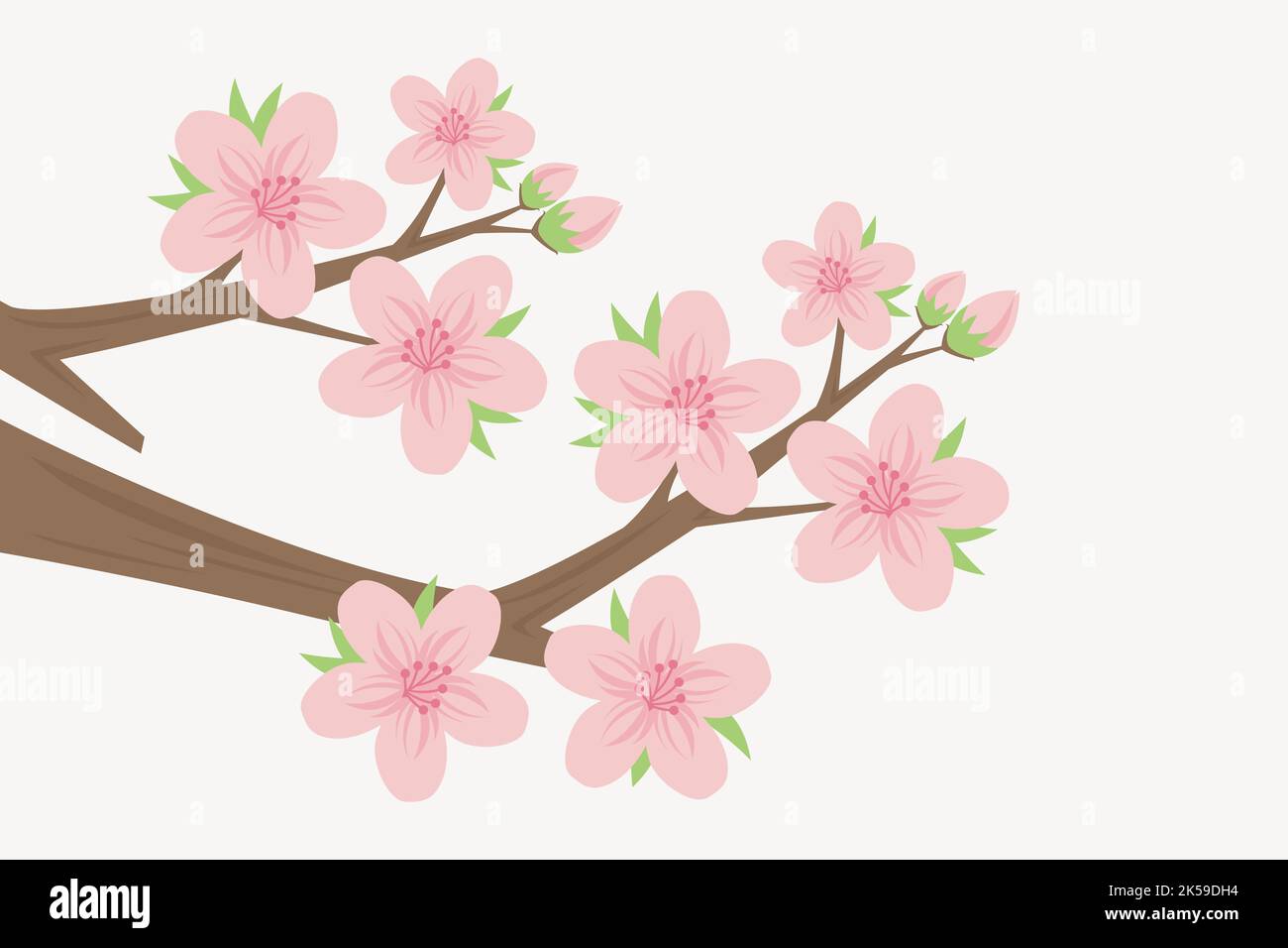 Cherry blossom sticker hi-res stock photography and images - Alamy