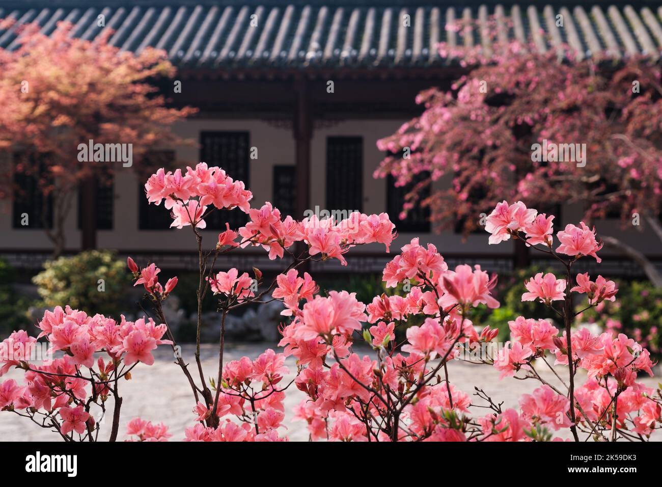 Spring scenery of Yellow Crane Tower Park in Wuhan, Hubei Stock Photo ...