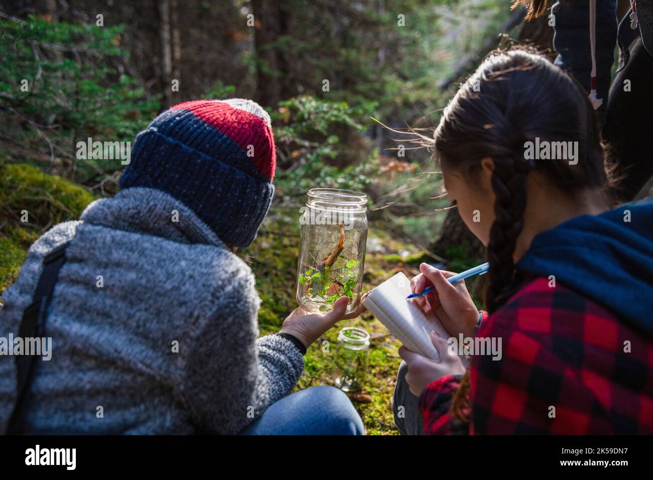 Collecting insects hi-res stock photography and images - Alamy