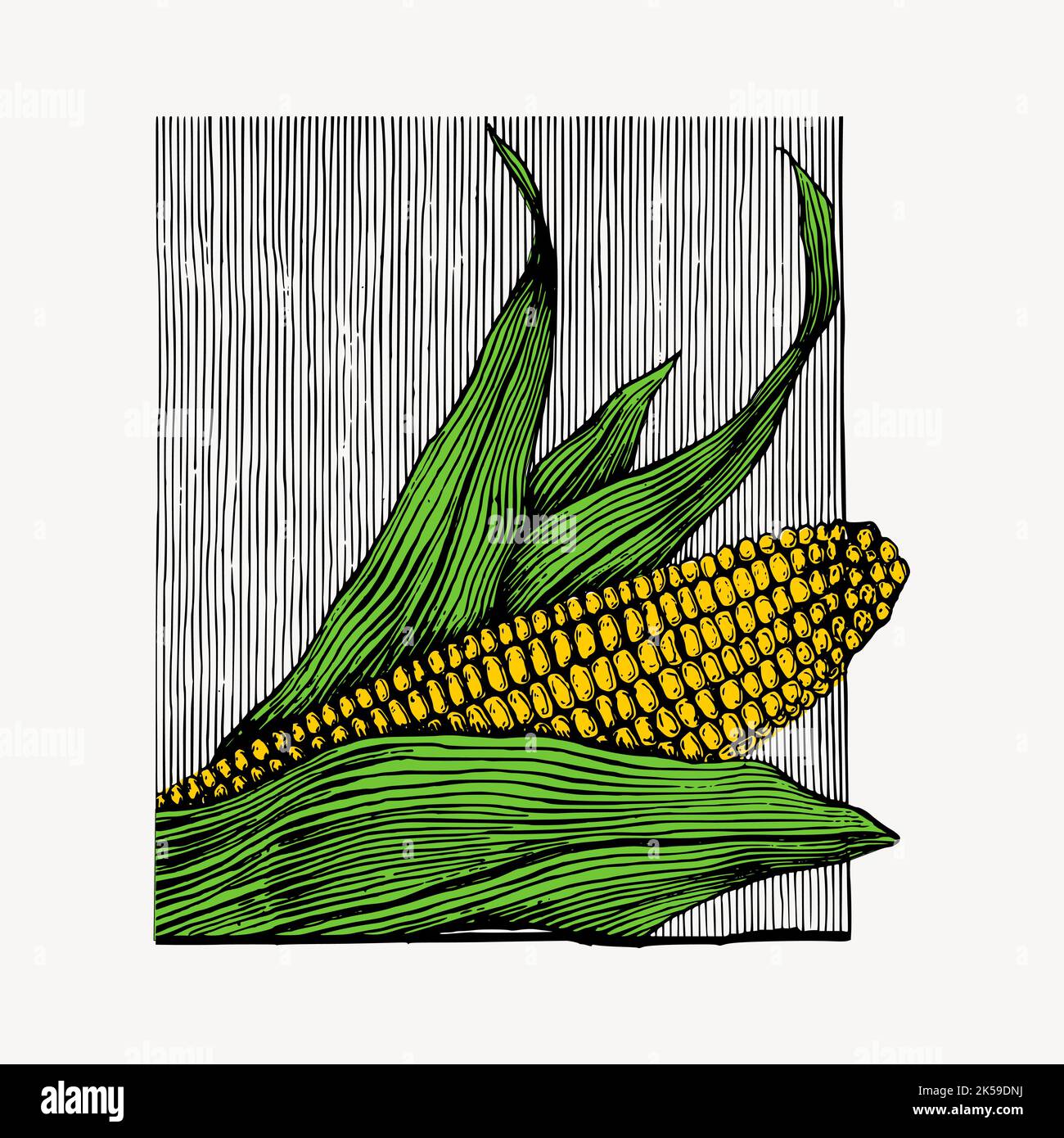 Corn clipart, vintage vegetable illustration vector Stock Vector Image ...