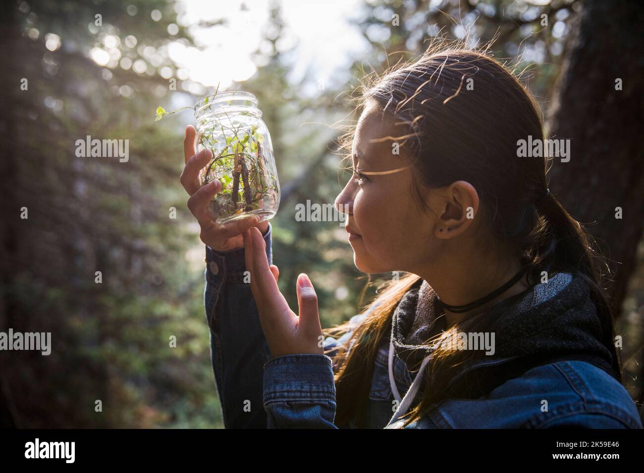 Collecting insects hi-res stock photography and images - Alamy